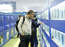 China International Pet Show (CIPS) - Home